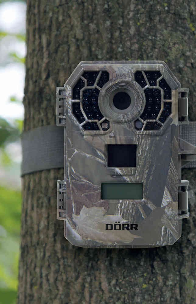 Dorr Wildcam X42 Black IR Wildlife Camera Camouflage [204396] N2 free ...
