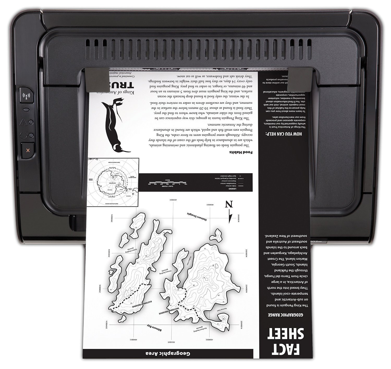 HP LaserJet Pro P1102w Wireless Monochrome Printer - CE658A#BGJ ...