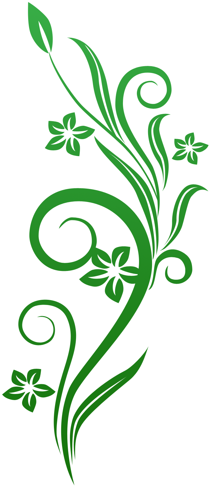 Vine Swirls as an illustration free image download