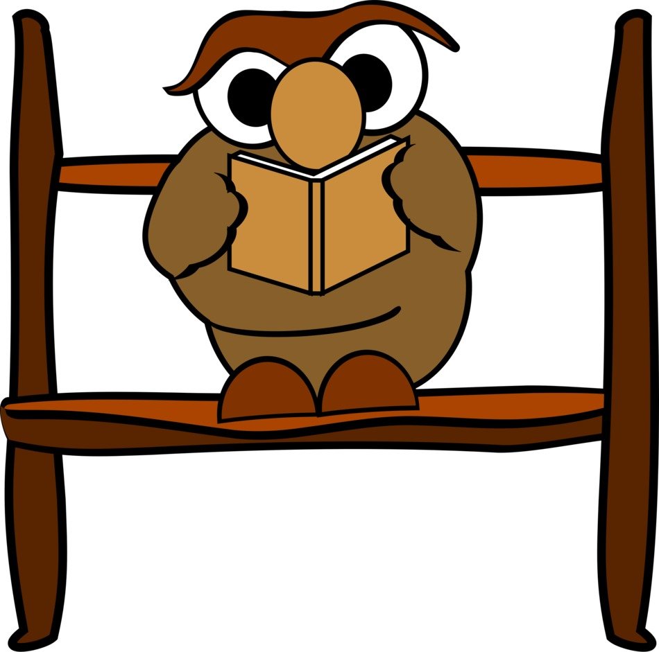 Owl Reading drawing free image download