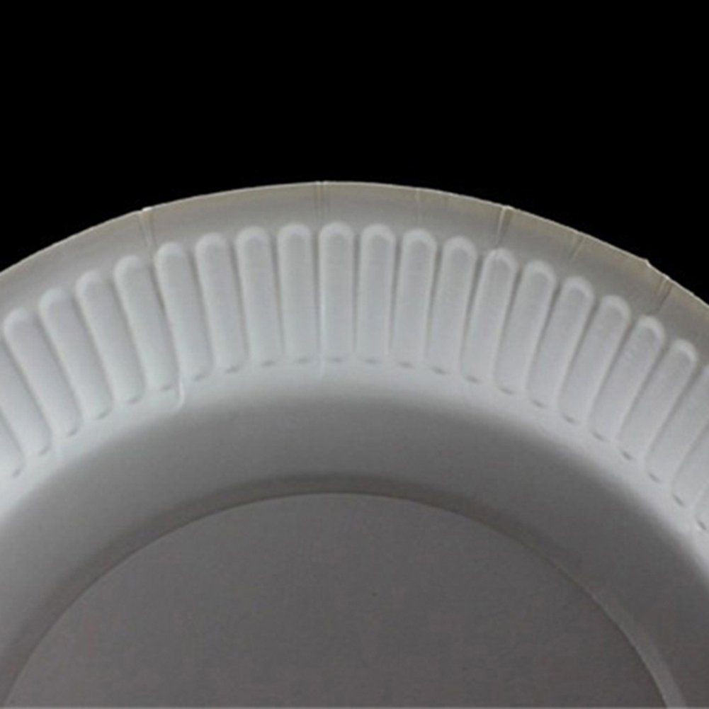 Gogoforward 20 PCS White Disposable Paper Plates Cake Pan Party Plates ...