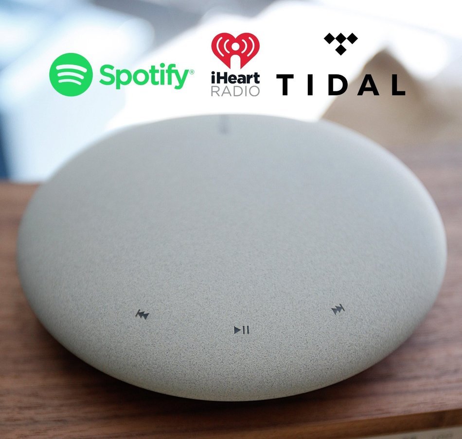 MUZO Cobblestone Wi-Fi Audio Receiver - Stream Music From Phone ...