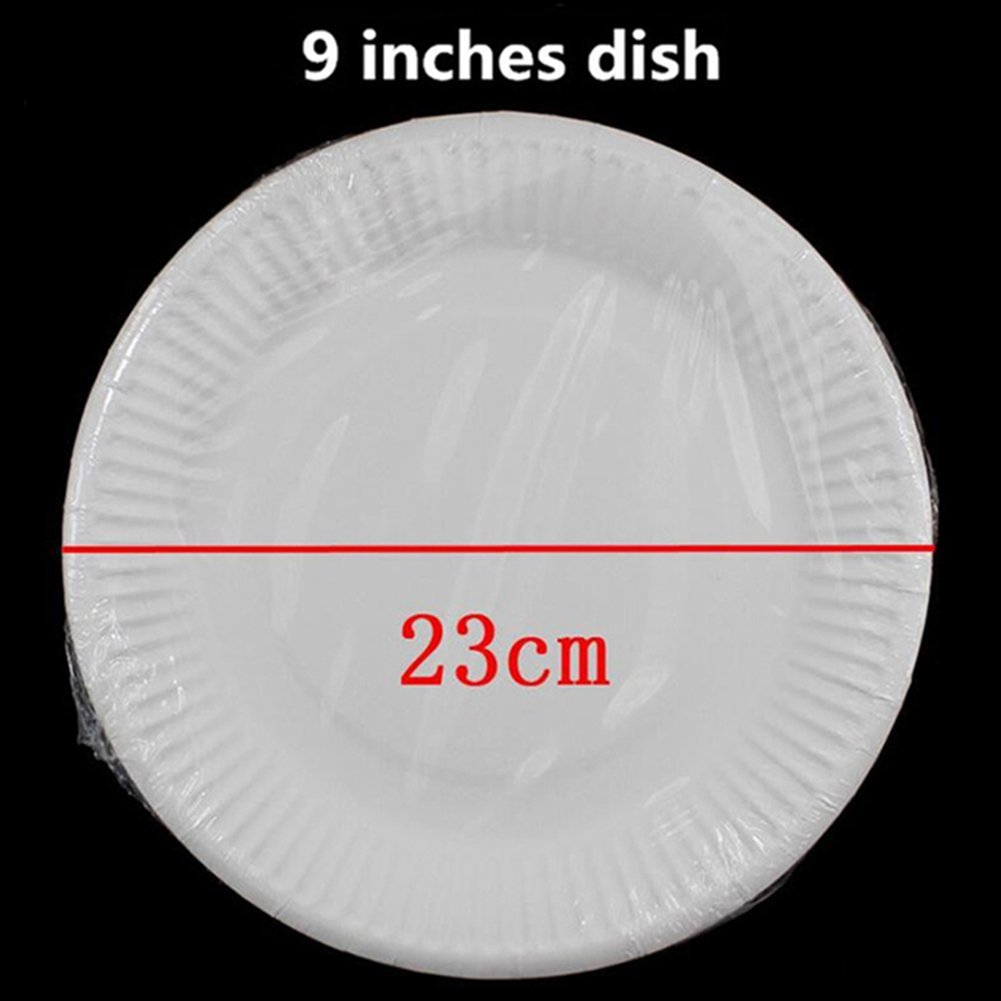 Gogoforward 20 PCS White Disposable Paper Plates Cake Pan Party Plates ...