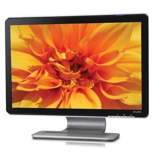 HP W1907 19-inch Widescreen Flat Panel LCD Monitor free image download