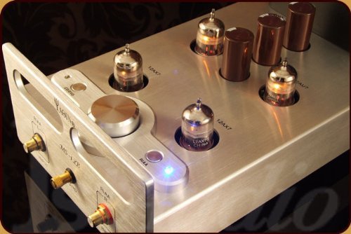 YAQIN MS12B 12AX7 X2 TUBE PreAmplifier Integrated Amplifier and Phono ...