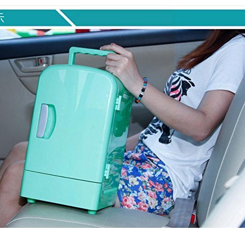 RUIRUI-Car refrigerator 7.5 liters, dual-use hot and cold boxes, car ...