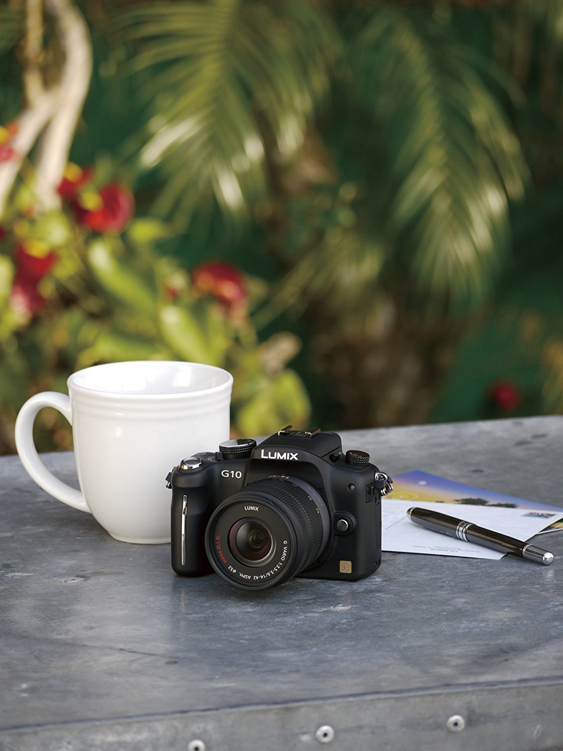 Panasonic Lumix DMC-G10 12.1 MP Live MOS Mirrorless Digital Camera with ...