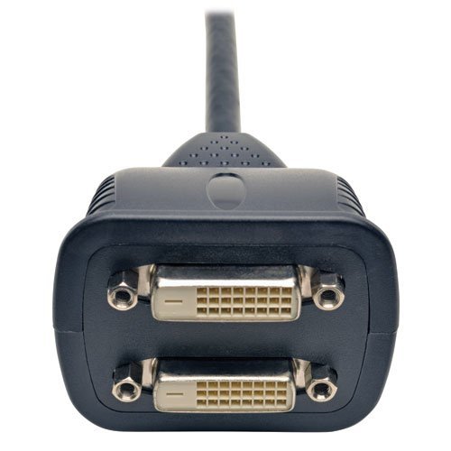 Tripp Lite DVI Splitter Cable, Digital Monitor Y Cable (DVI-D M to 2x F ...