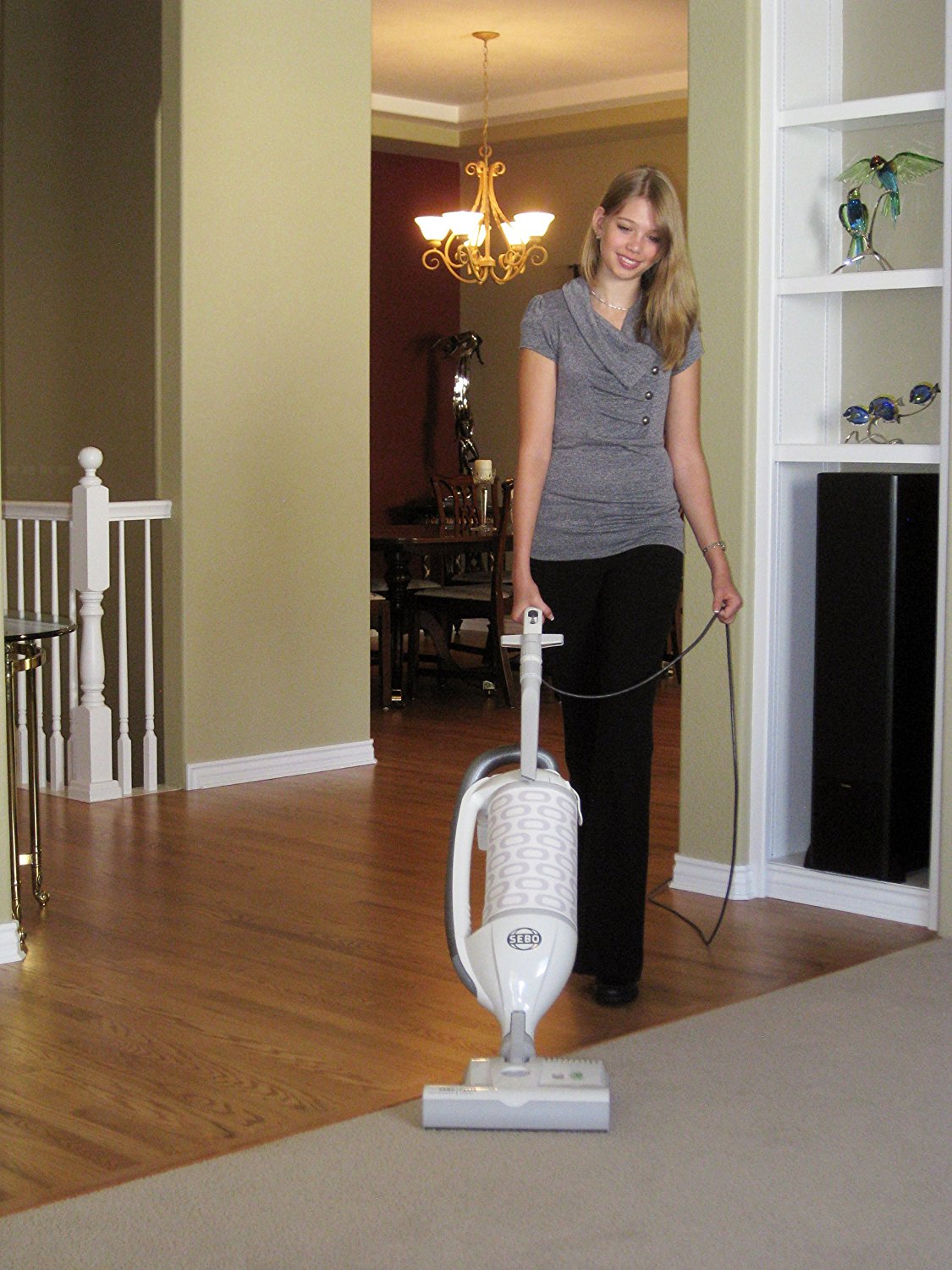 Sebo Vacuums 9808AM Felix Premium Upright Vacuum with Parquet, White ...