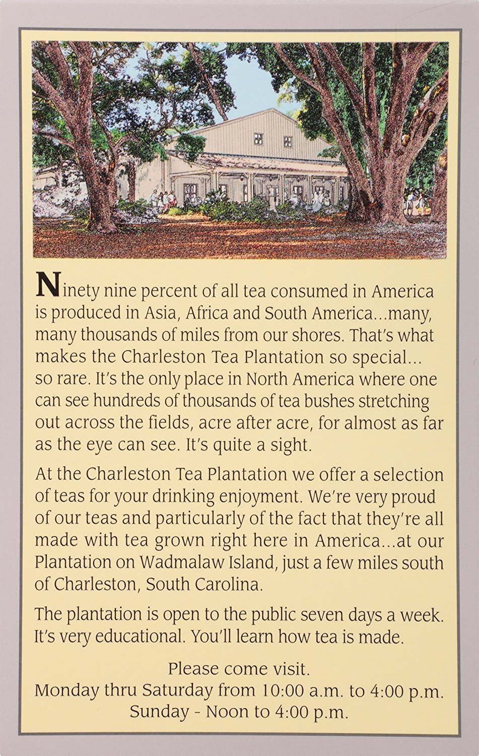 American Classic Pyramid Teabags, Governor Gray, 12 Count N3 free image ...