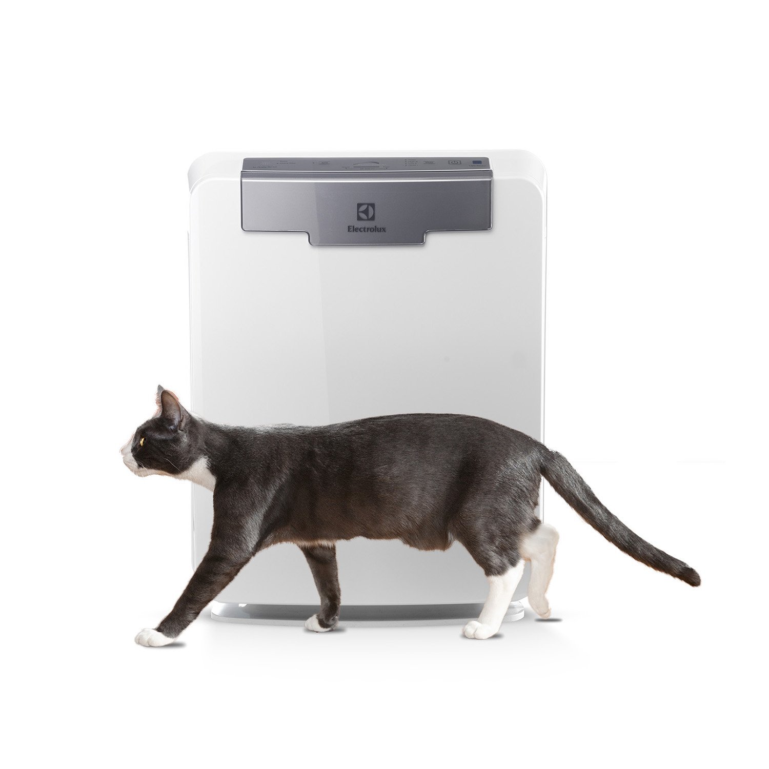 Electrolux PureOxygen Allergy 300 HEPA 4-Stage Filtration Air Cleaner ...