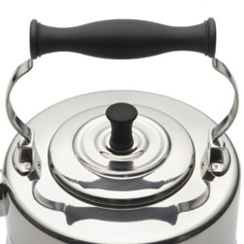 BonJour Tea Stainless Steel and Copper-Base Gooseneck Teapot ...