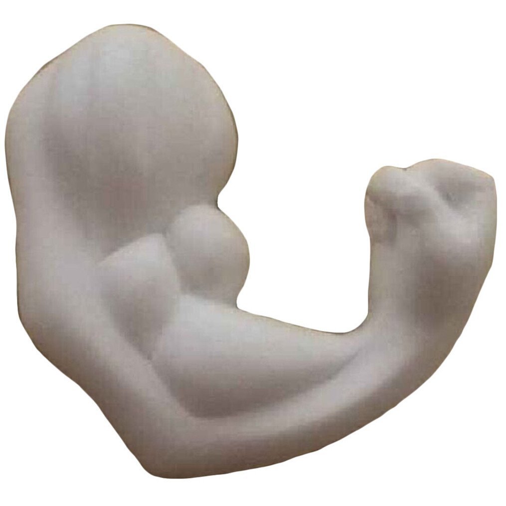 FLY Strong Arm Muscles Shape Silicone Cake Mold Fondant Lace Tools ...