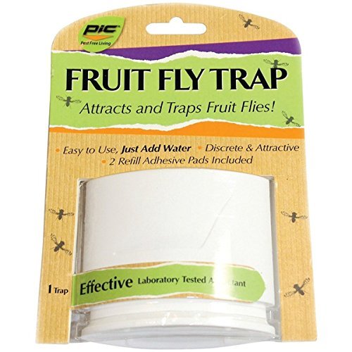 New PIC FFT White Fruit Fly Trap free image download