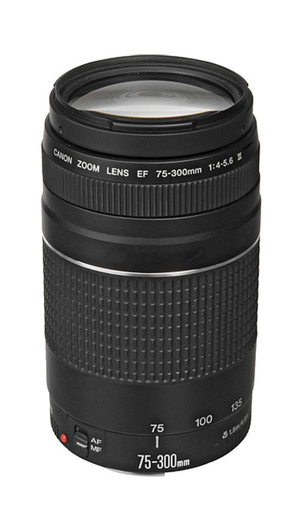 Canon EOS Rebel SL1 DSLR Camera with 18-55mm IS STM and 75-300mm III ...