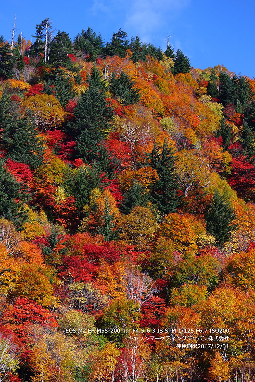 Canon EOS M2 Mirrorless Digital Camera with EF-M 18-55mm + EF-M 22mm ...