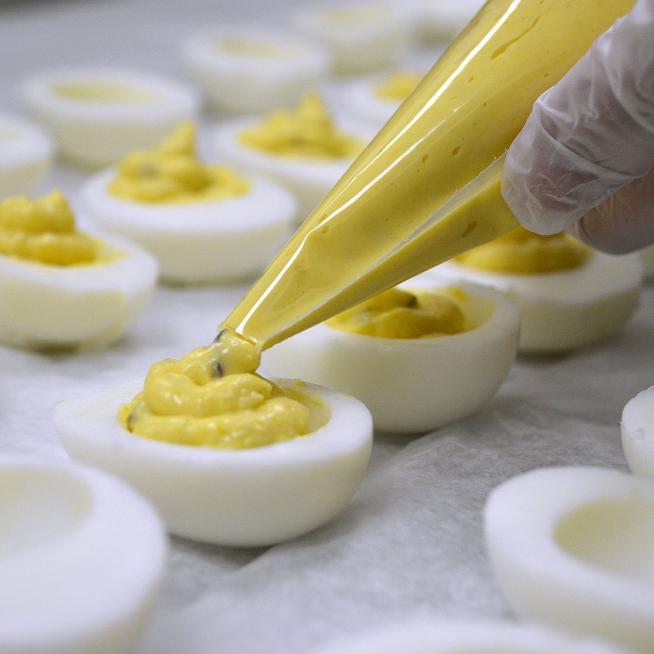 DayMark PipingPal Plus Disposable Pastry Bag N4 free image download