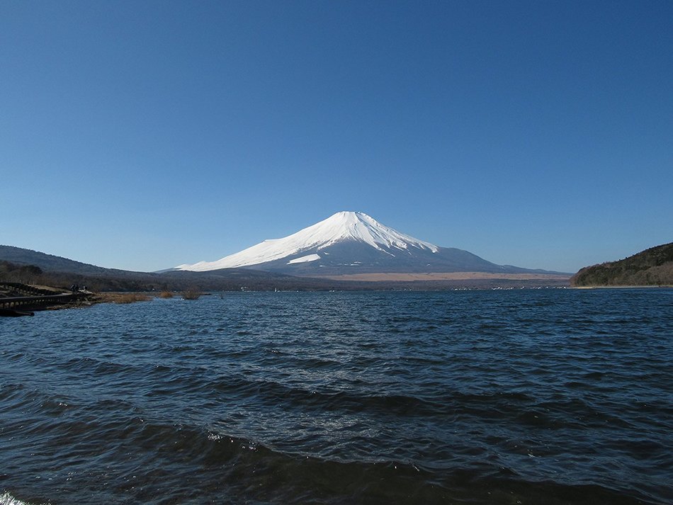 Canon digital camera PowerShot (power shot) SX530 HS PSSX530HS ...