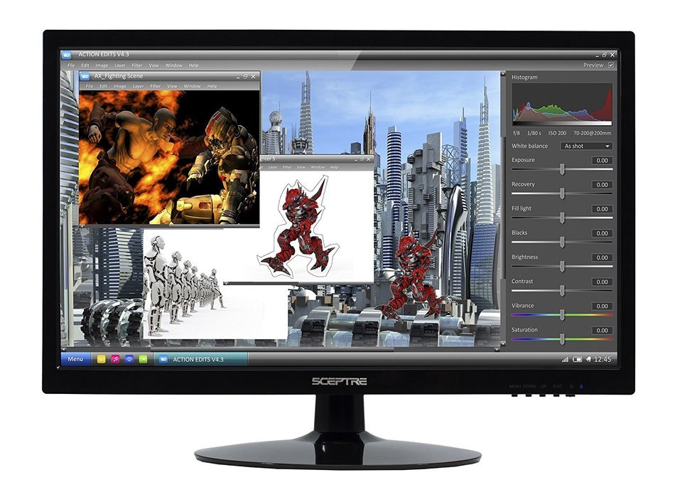 Sceptre E248W-1920 24-Inch Screen LED-Lit Monitor N17 free image download
