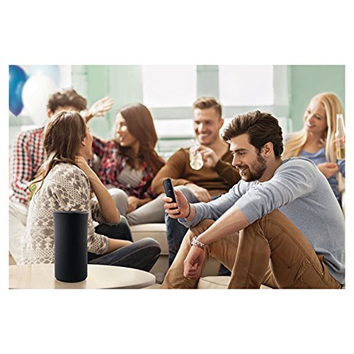 Samsung 2-Pack Radiant 360 R1 Wi-Fi Bluetooth Wireless Multi-Room 2-Way ...