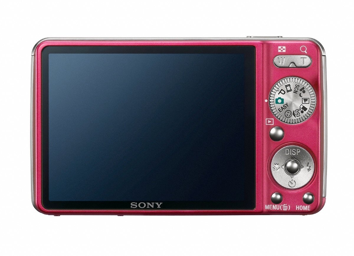 Sony Cyber-shot DSC-W230 12 MP Digital Camera with 4x Optical Zoom and ...