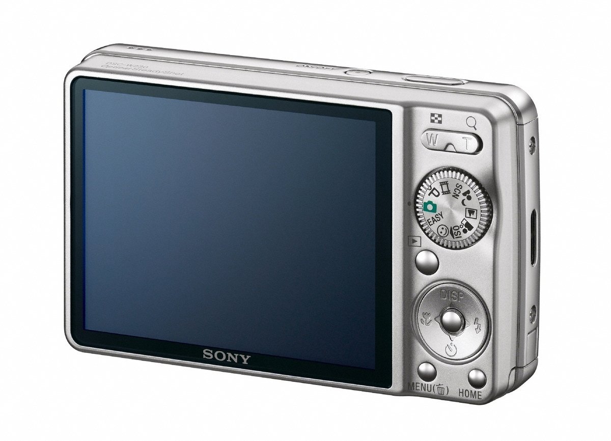 Sony Cyber-shot DSC-W230 12 MP Digital Camera with 4x Optical Zoom and ...