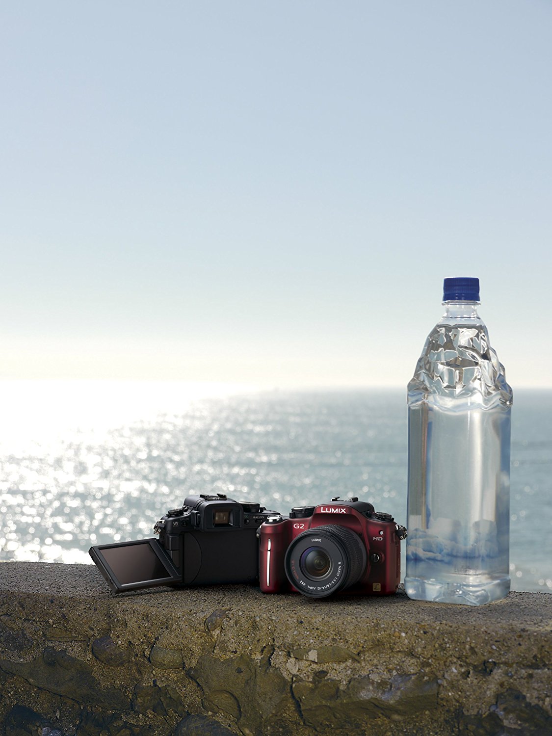 Panasonic Lumix DMC-G2 12.1 MP Live MOS Mirrorless Digital Camera with ...