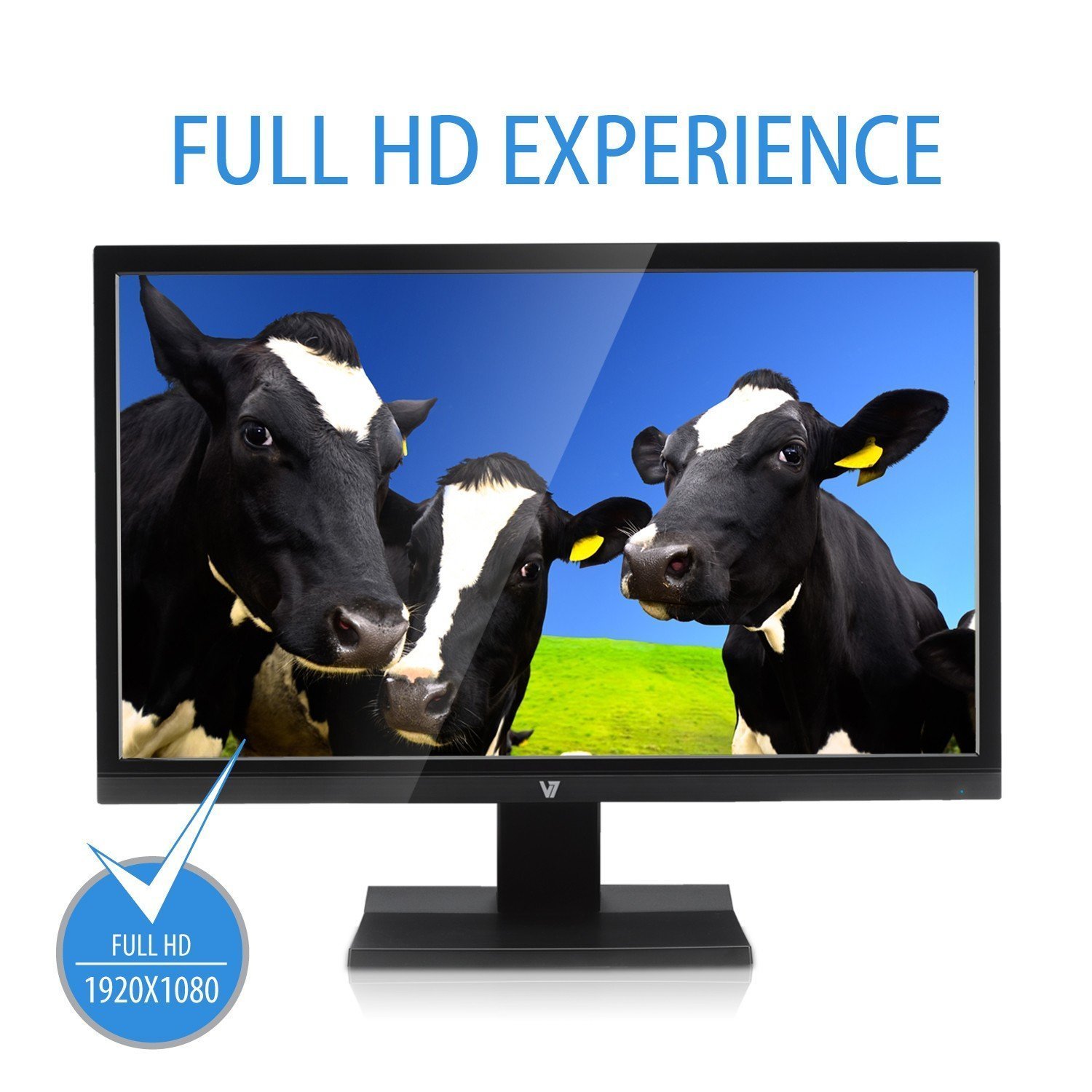 V7 L18500WS-9N 48cm (18,5 inch) Monitor (VGA, 1366x768, 5ms, Speakers ...