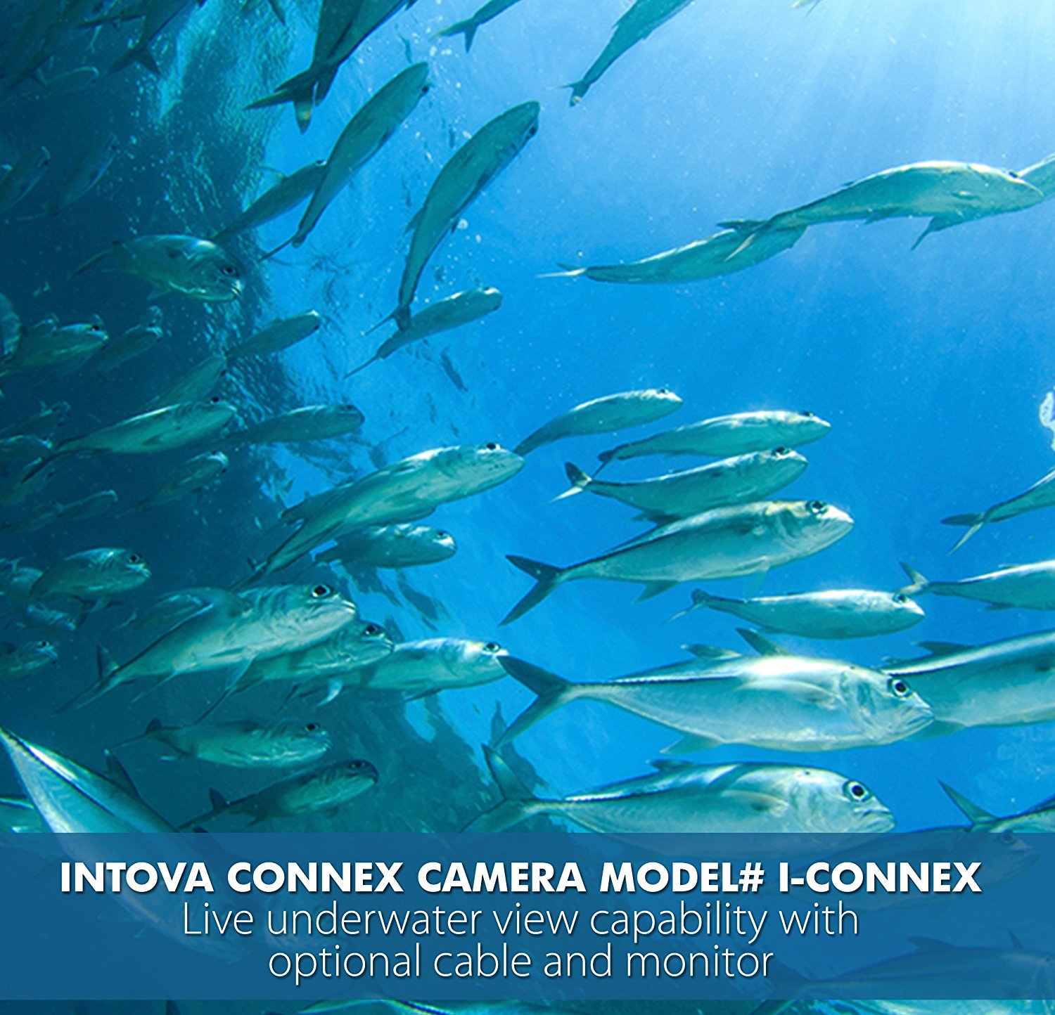 Intova Connex Waterproof 1080p HD Video Camera with Hardwire Port N4 ...