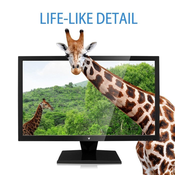 V7 L18500WS-9N 48cm (18,5 inch) Monitor (VGA, 1366x768, 5ms, Speakers ...