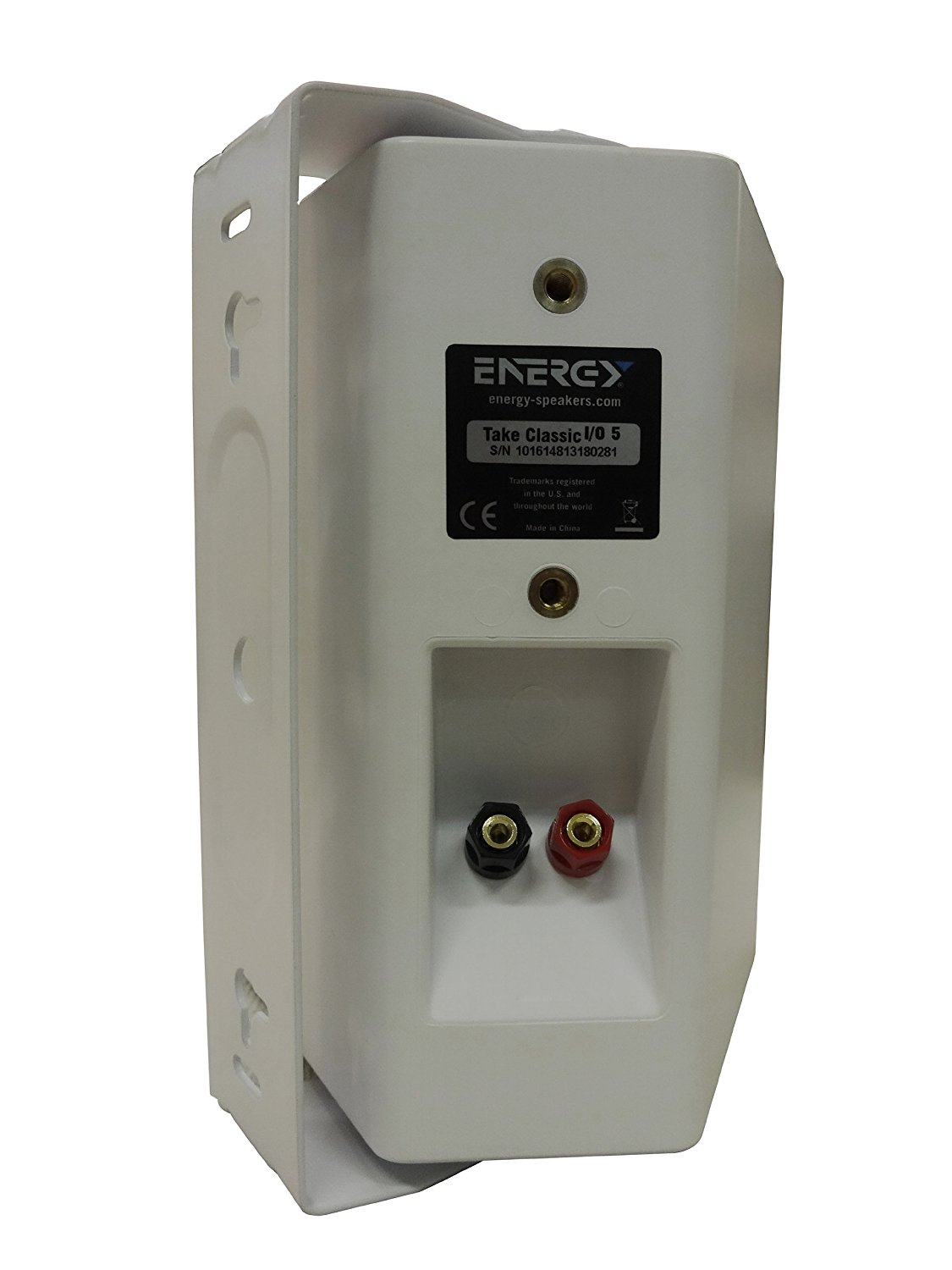 Energy Take Classic I/O 5 Indoor/Outdoor Speakers with 5.25-Inch woofer ...