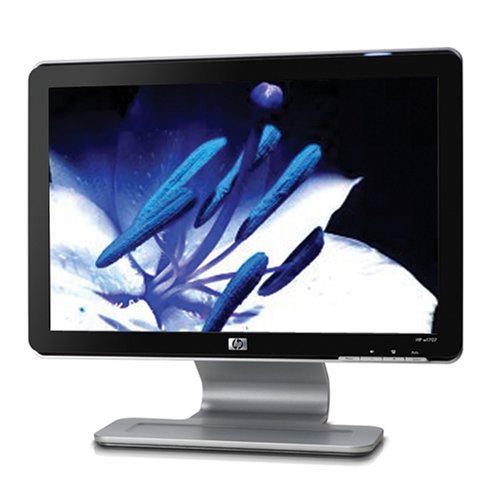 HP W1707 17-inch LCD Monitor N3 free image download