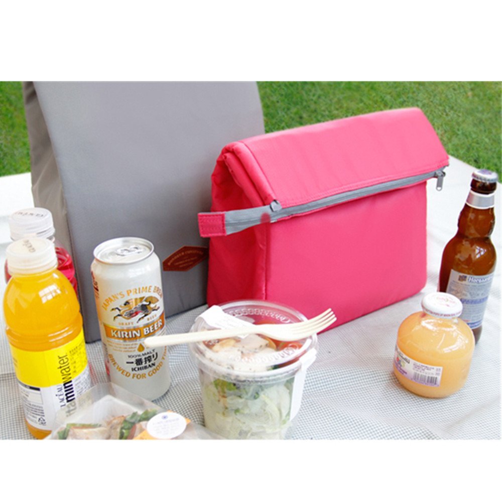 EVTECH TM Durable Deluxe Insulated Lunch Cooler Picnic Bag Ice Pack EVTECH TM Durable Deluxe Insulated Lunch Cooler Picnic Bag Ice Pack