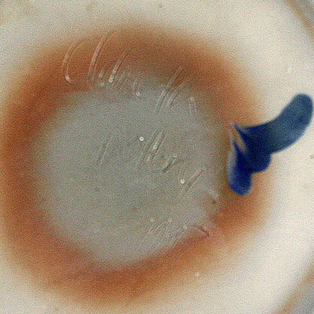 Eldreth Pottery USA Salt Glazed Stoneware Pie Plate Snowman 1997 N2 ...