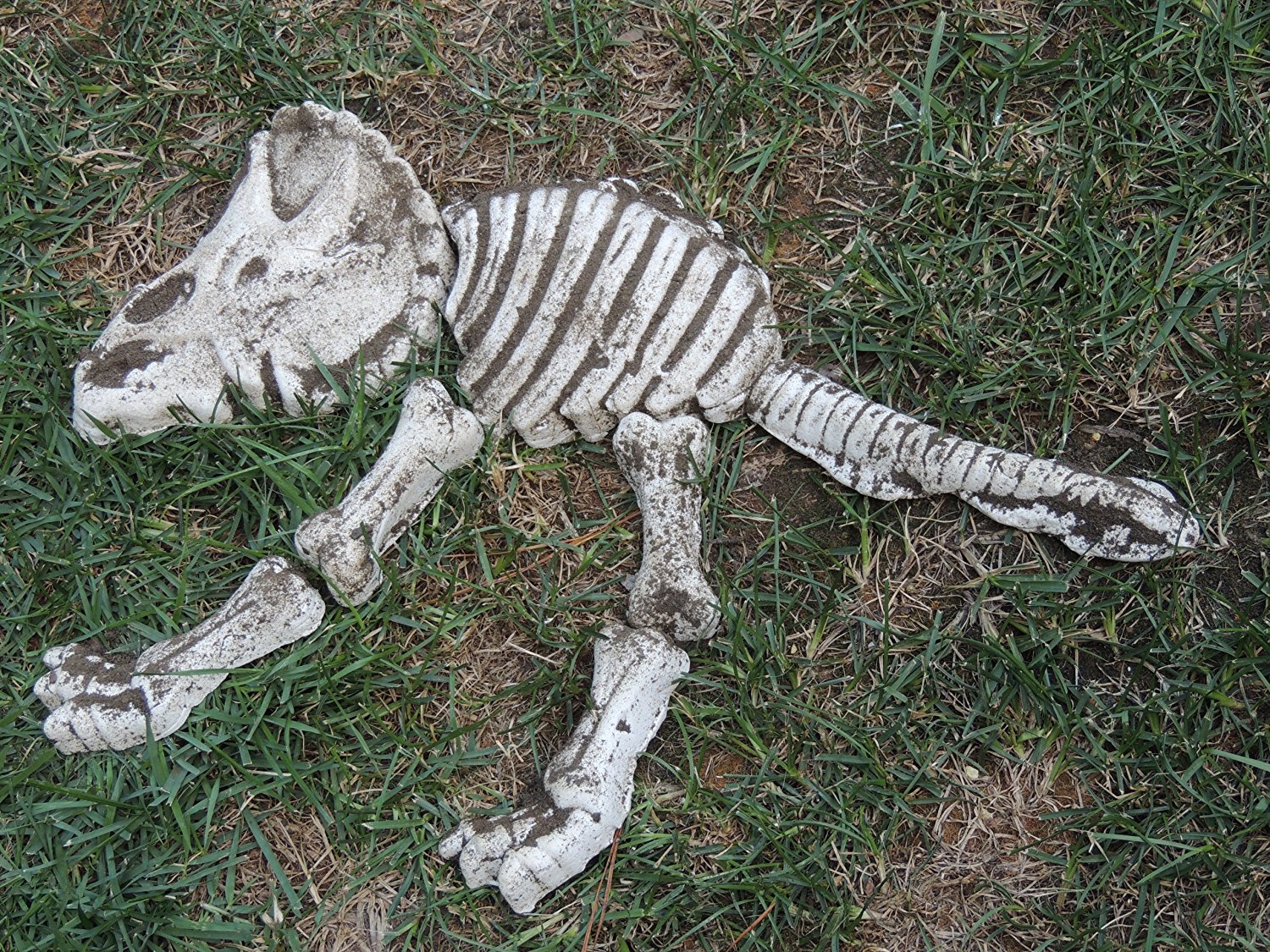 Dinosaur Bones Sand Mold Set (10 Pcs. Set) N2 free image download