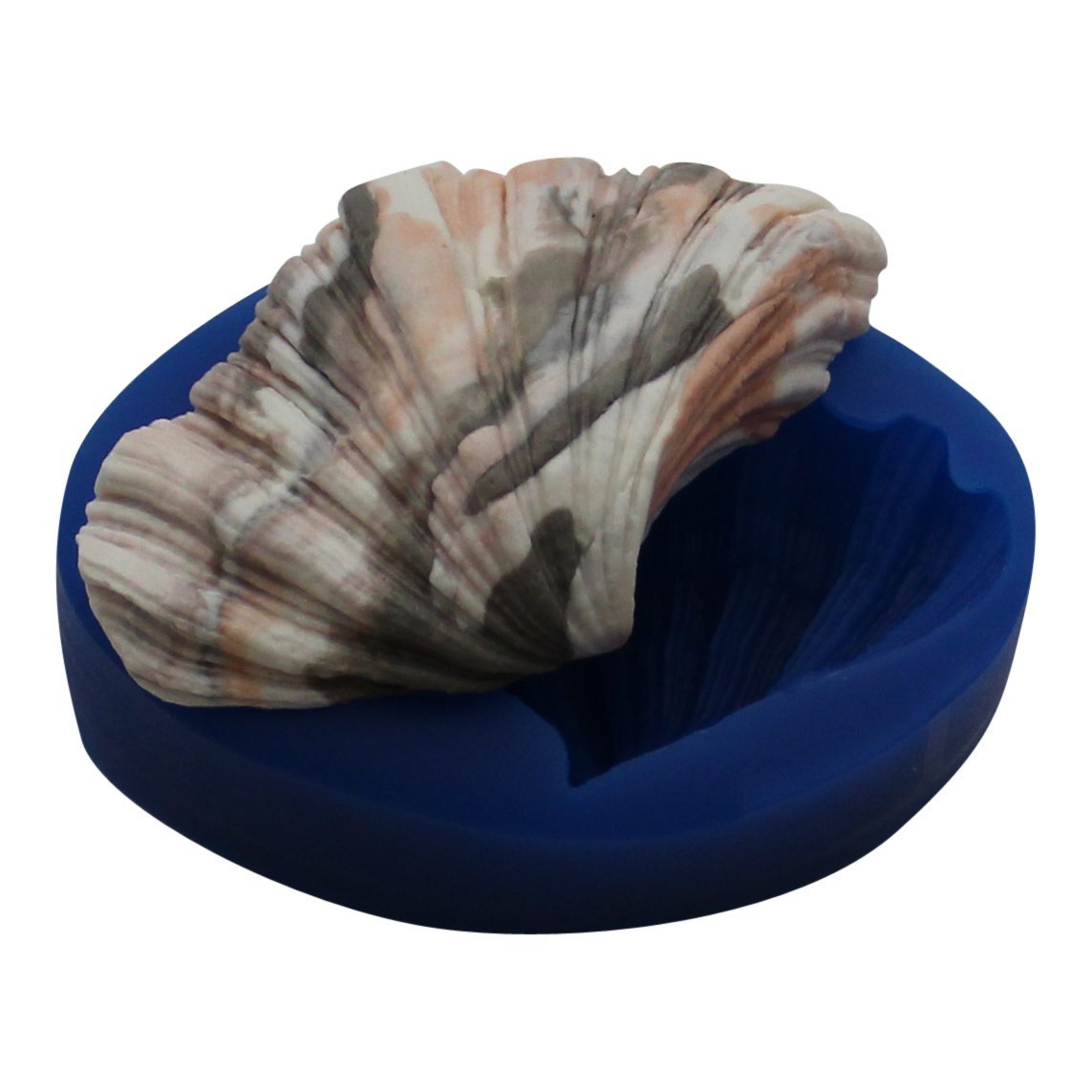 First Impressions Molds S214 Silicone Mold, Shell N2 free image download