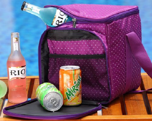 Car Ice Pack Refrigerated Incubator 26.5*22.5*26Cm N4 free image download