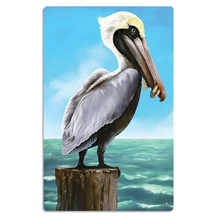 Beistle 54377 24-Pack Pelican Cutout, 18-Inch free image download