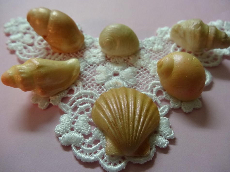 Shells 3D, Sea, Seascape, seashells Silicone Mold By Oh! Sweet Art FDA ...