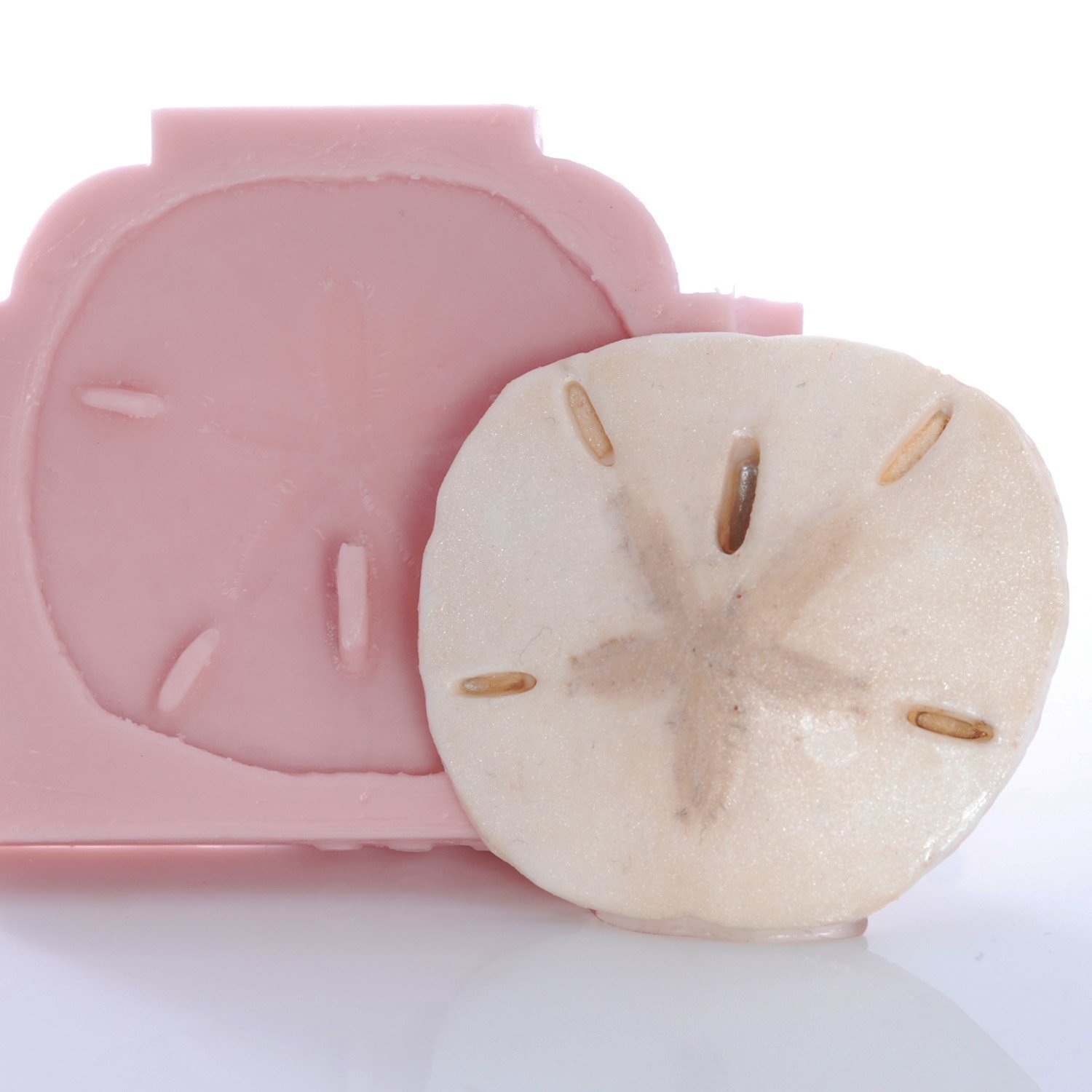Sand Dollar Silicone Mold Food Safe Fondant, Chocolate, Candy, Resin ...