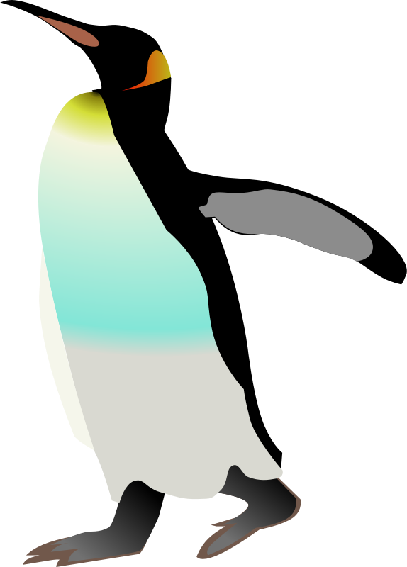 Penguin on a white background free image download