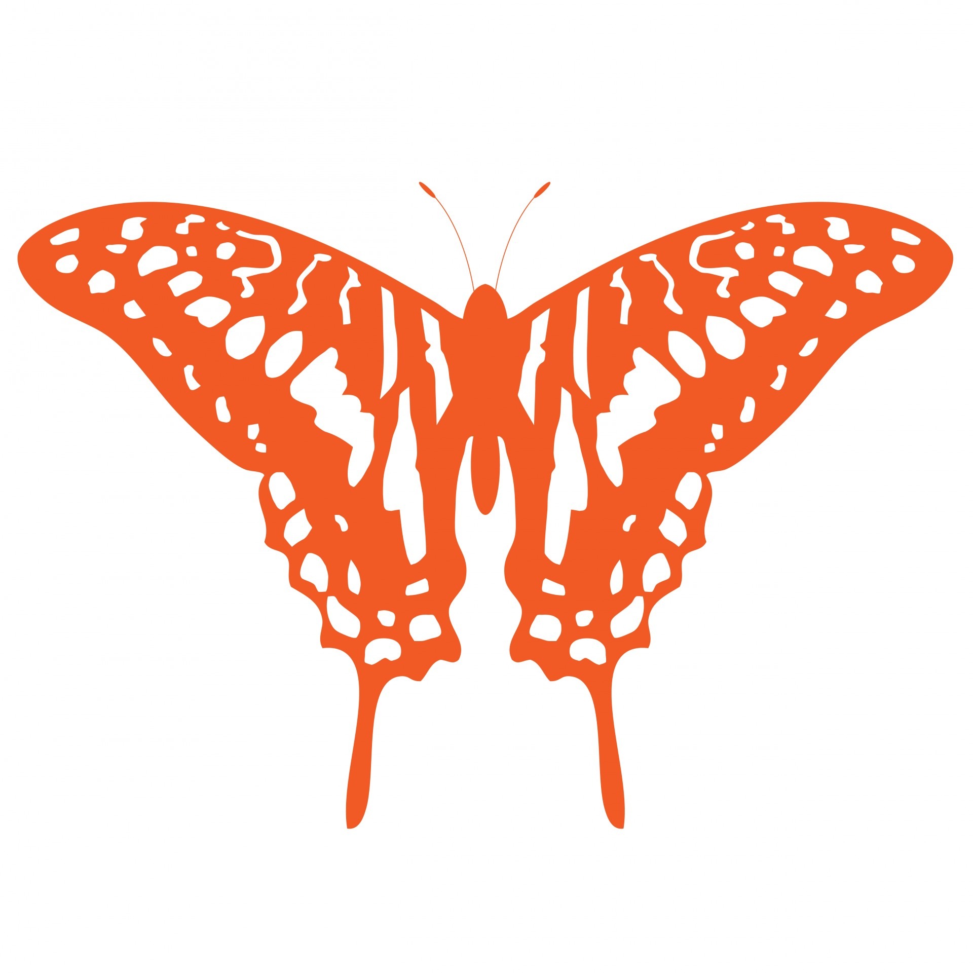 Butterfly orange art stylized free image download