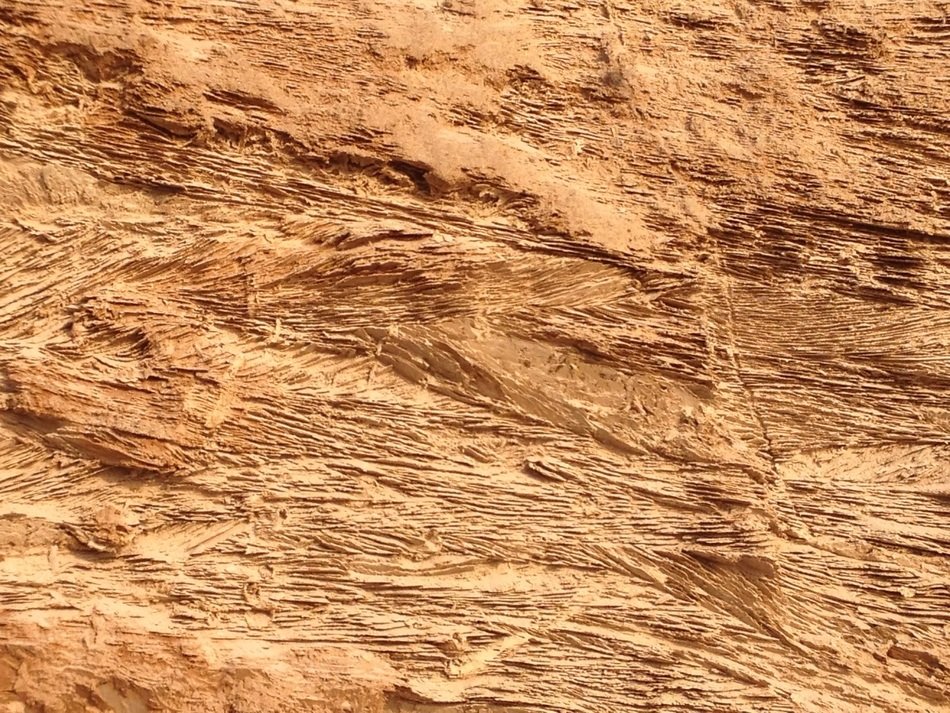 Sandstone rock cliff texture free image download