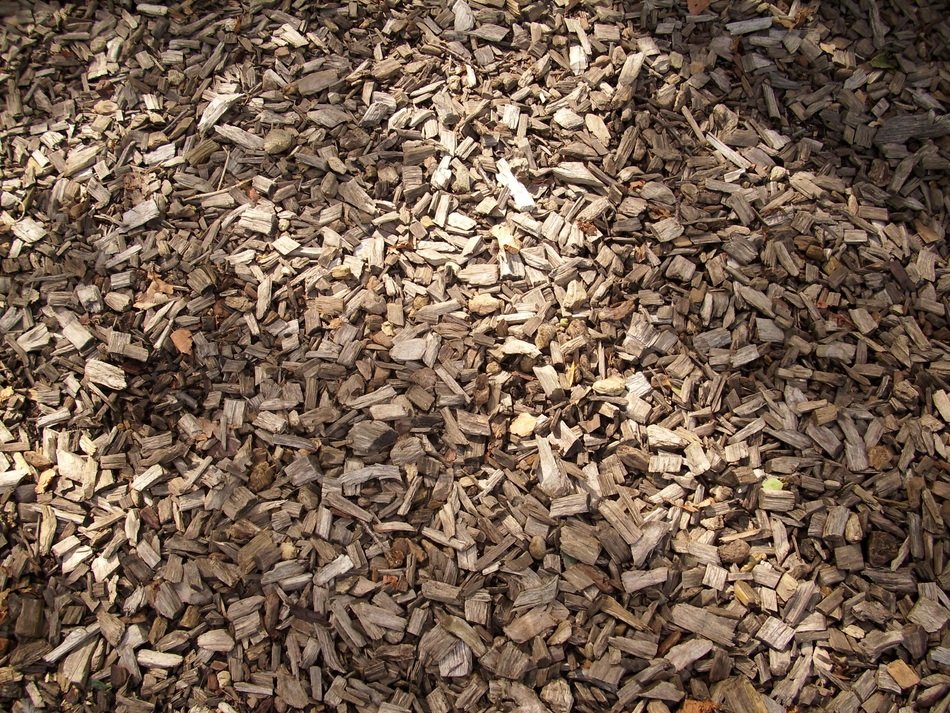 Wood chips tree bark nature free image download