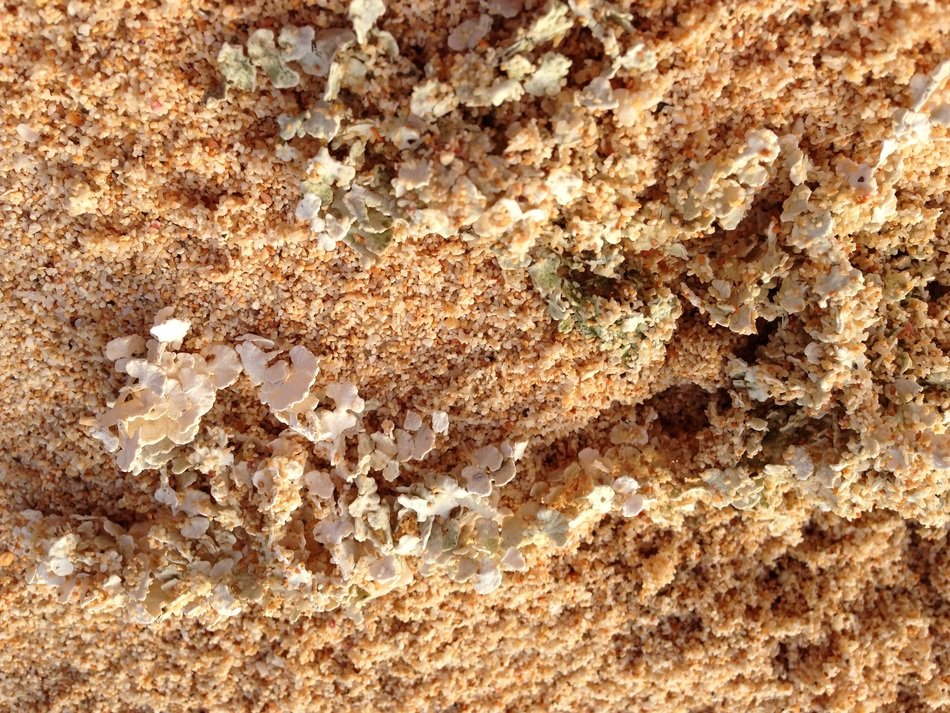 Sand beach saipan tinian pacific free image download