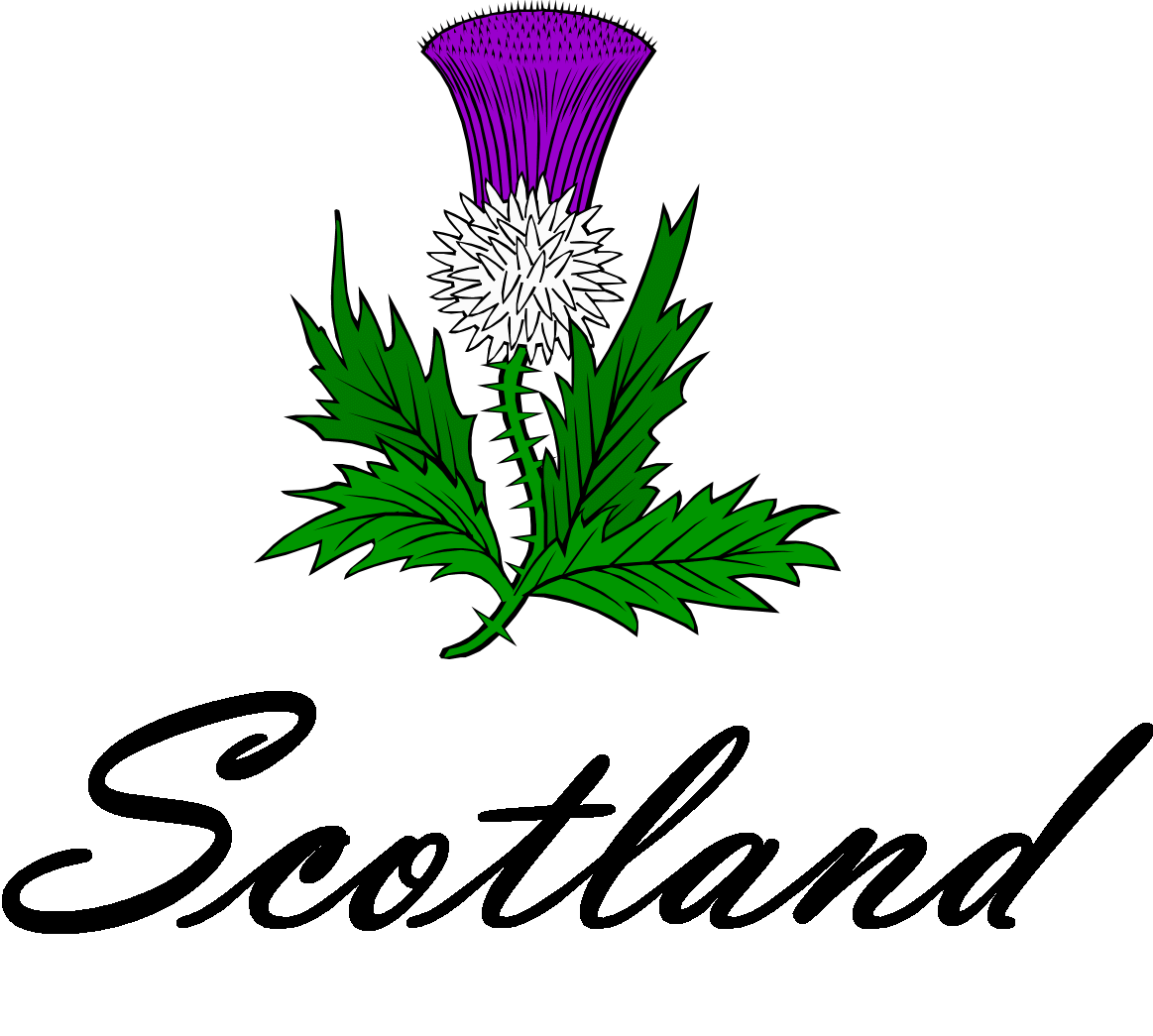 Scottish Thistle Design free image download