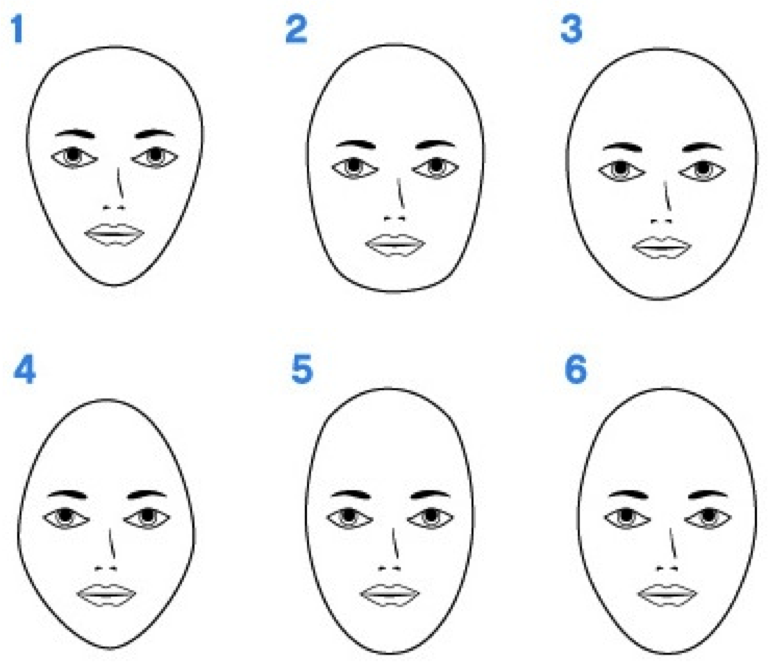 Face Shapes N2 free image download