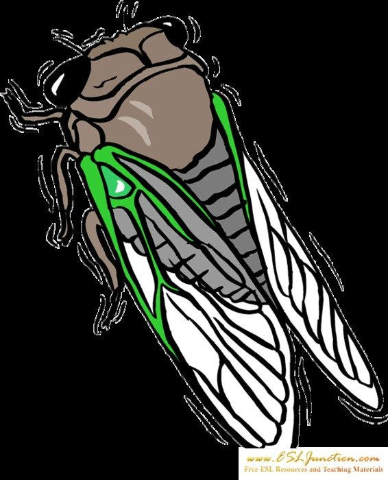 Place Flashcard Free This Is Your Indexhtml Page free image download