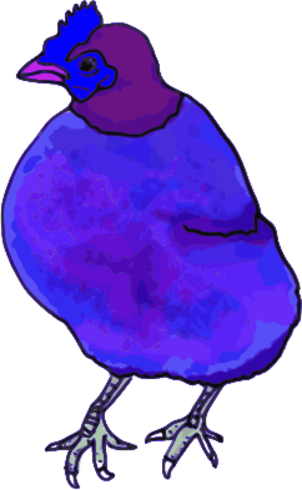 Blue chicken free image download