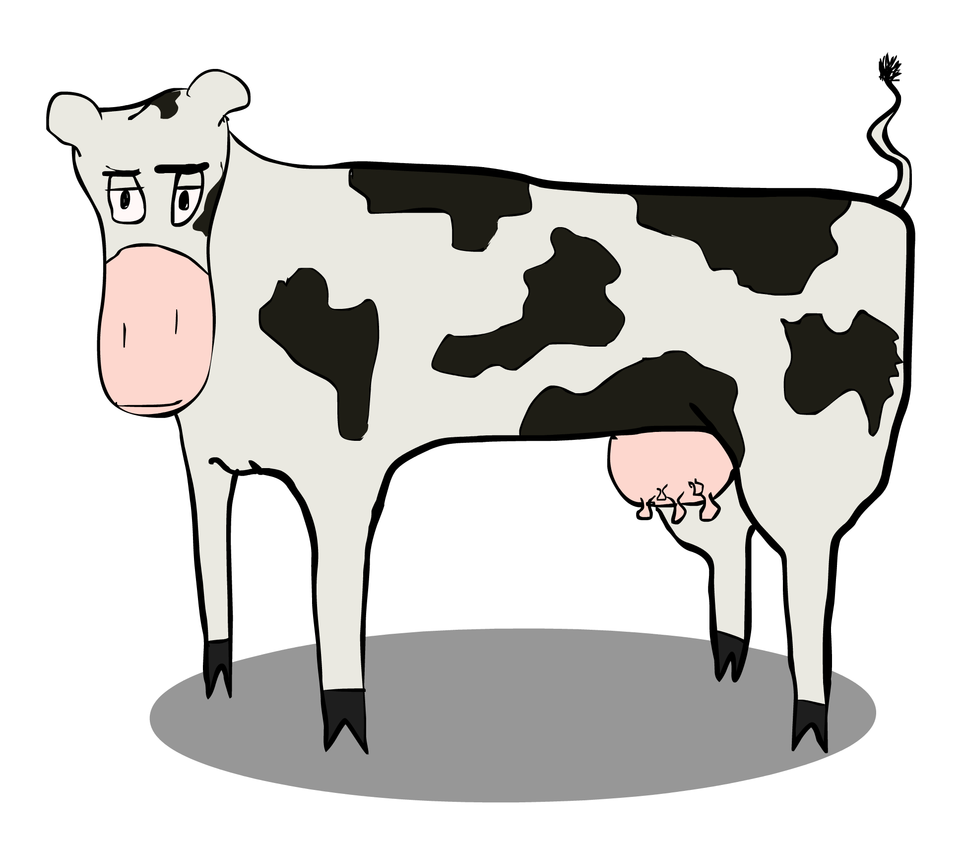 Grey big Cow Drawing free image download